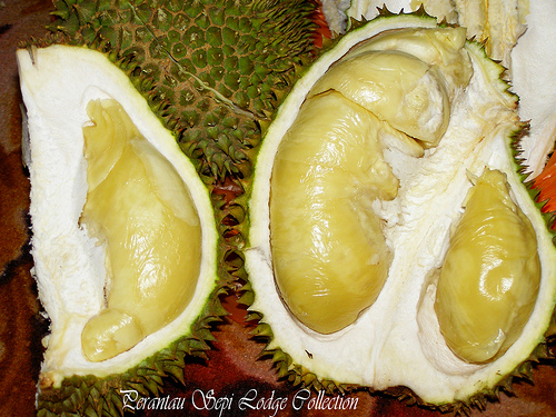 kagaytrip: Durian