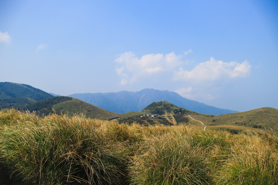 ink + adventure: Exploring Yangmingshan: QingTianGang Grasslands