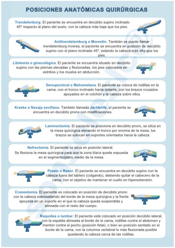 CELADORES ONLINE de INSTITUCIONES SANITARIAS: Tema 9. Ejes y Planos del Cuerpo Humano ...