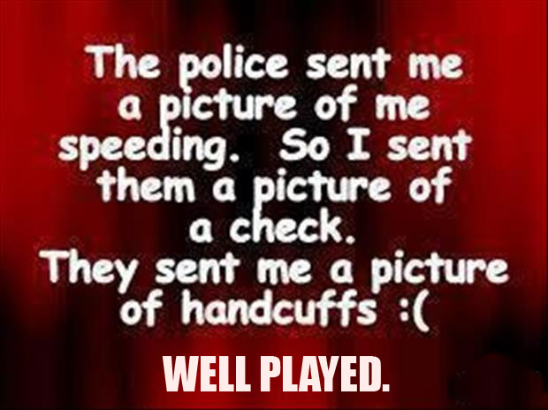 Too Much Crap Not Enough Shovels: The Best of "Well Played" (20+ pics)