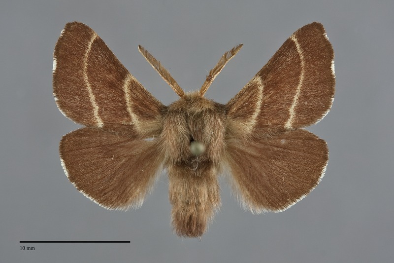 Northwest Nature Notes