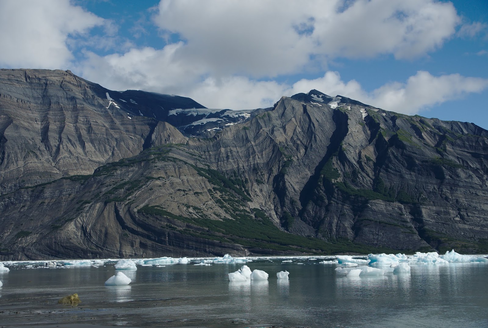 Glacier adventures: OIB Alaska Fall 2018: Icy Bay