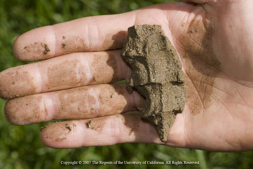 The Farmer Fred® Rant: How Can I Improve My (Expletive Deleted) Clay Soil?