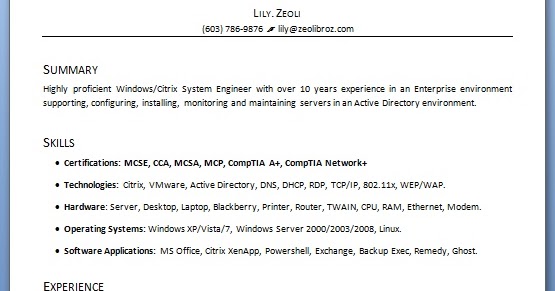 Entry Level System Administrator Resume Format in Word Free Download