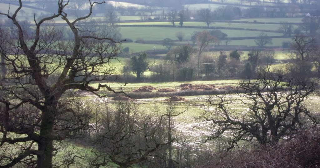 A Cotswold Year: Rain Saturated Ground