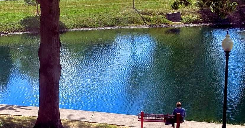 Photo Potpourri: Game Day at Rose-Hulman Institute: There's so much for ...