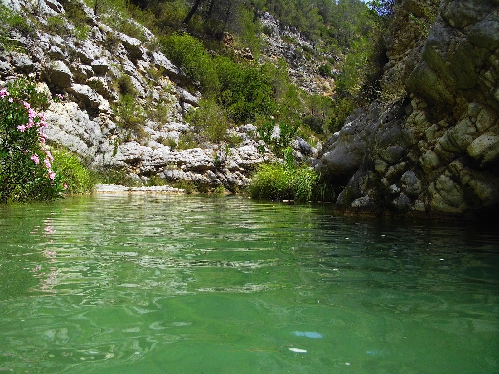 ArwenEyes: La Mejor ruta con diferencia Rio fraile (Bicorp)