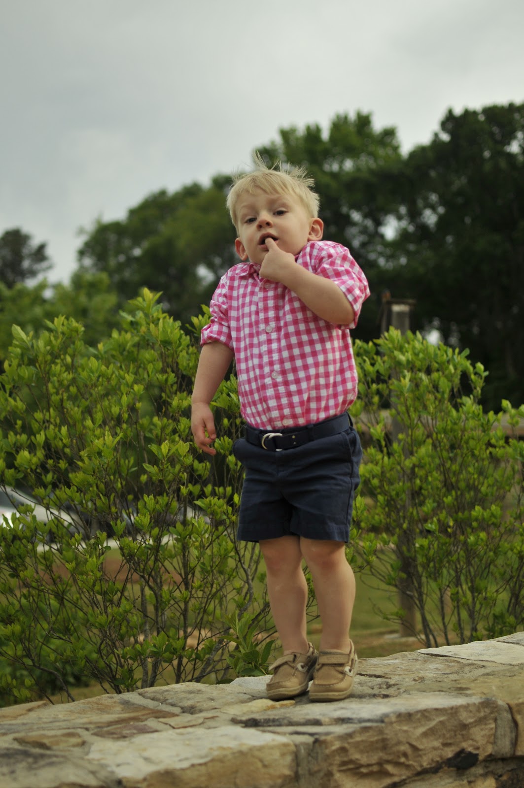 Minton Family Blog