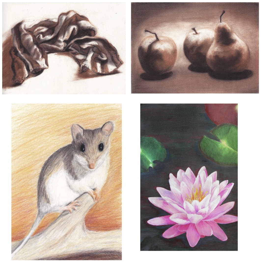 The Rolling Artroom: Jr/Sr High Drawing Class