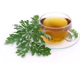 VINDECARE NATURISTA: PELINUL – AMAR DAR SANATOS