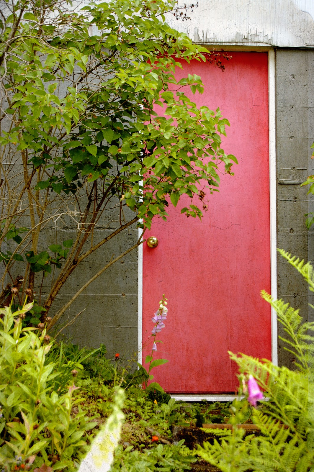 dirt and rocks: Red Doors (Textured)