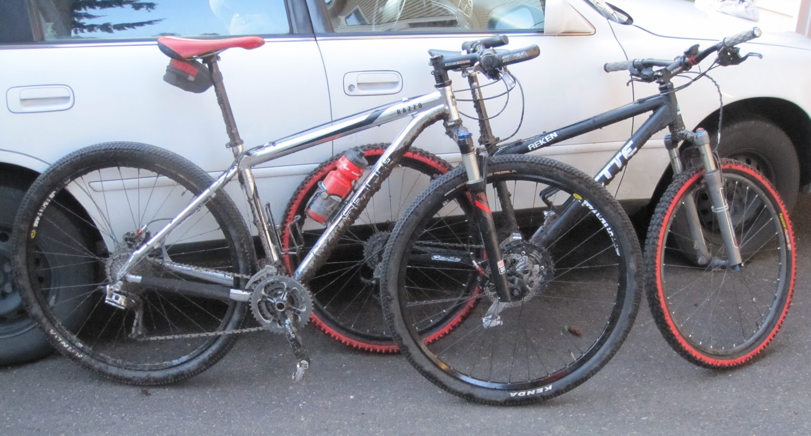 Yo Eddy !!: Project Sette Reken - It is Alive