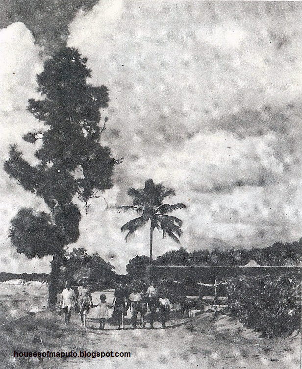 Fotos antigas do Rio Incomati em território moçambicano (2/2)