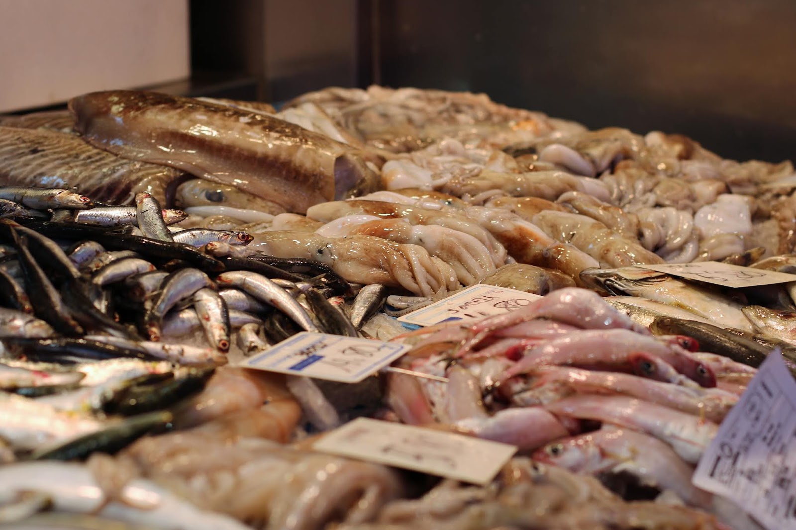 Mercats de Reus: Cuetes de Rap de Peixos Eugeni! | PA DE NOUS