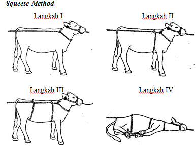 Ardhie_Phylami: BLOK 12 UP 2