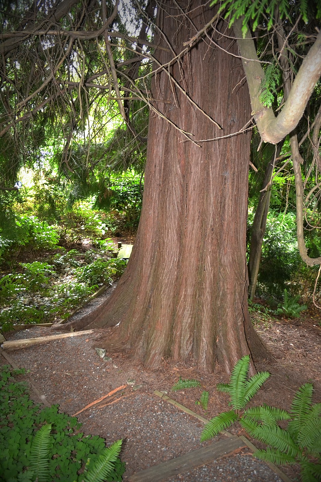 The Outlaw Gardener: Revisiting A Blogging Friend's Garden; Tom and ...