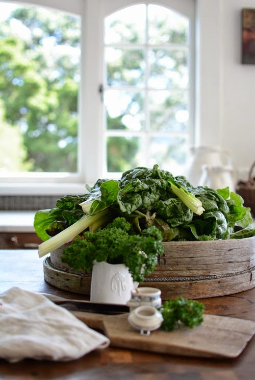 Lee Caroline - A World of Inspiration: An Exclusive Tour of Auckland ...