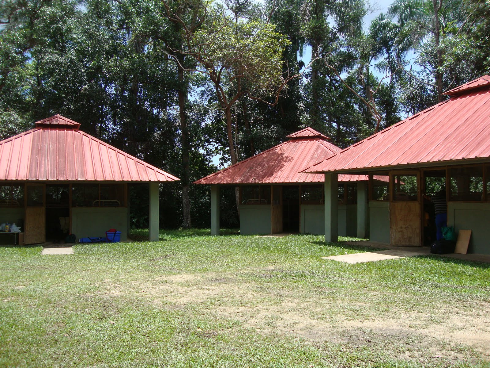 mama-arte-eco: Recordando Guajataka II