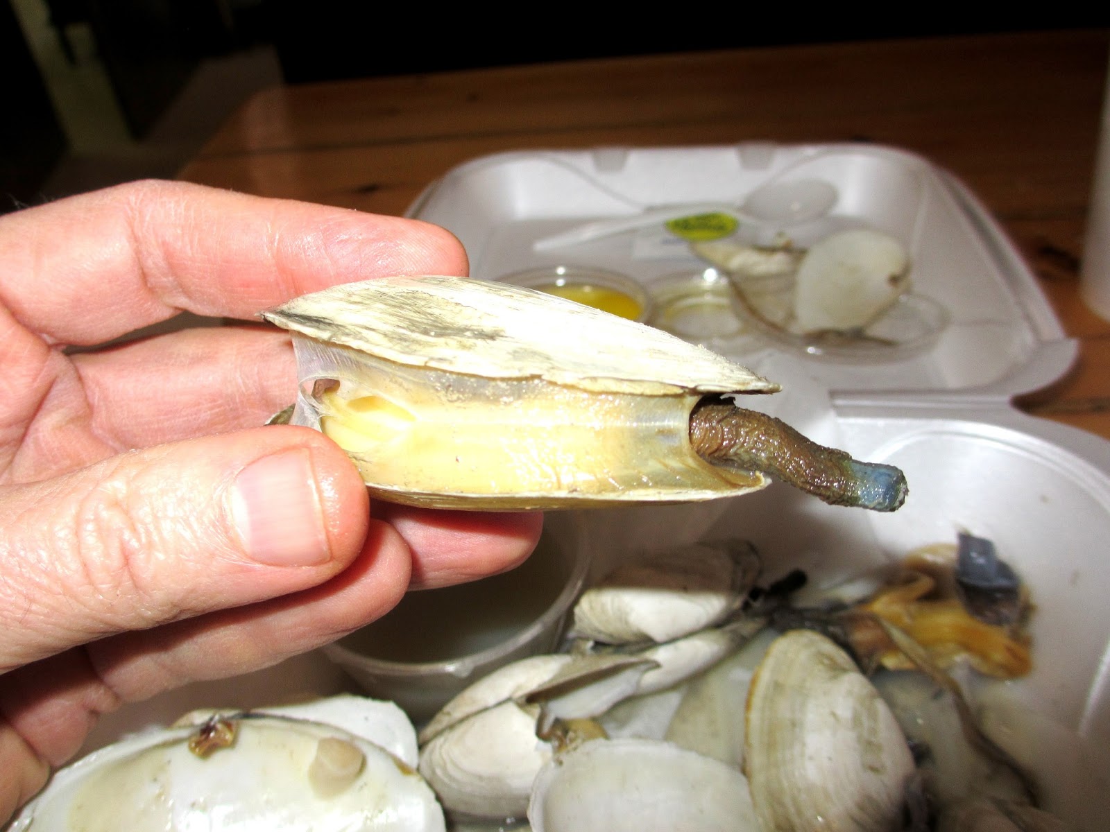 Cannundrums: Dan's Clam Stand - Crystal River