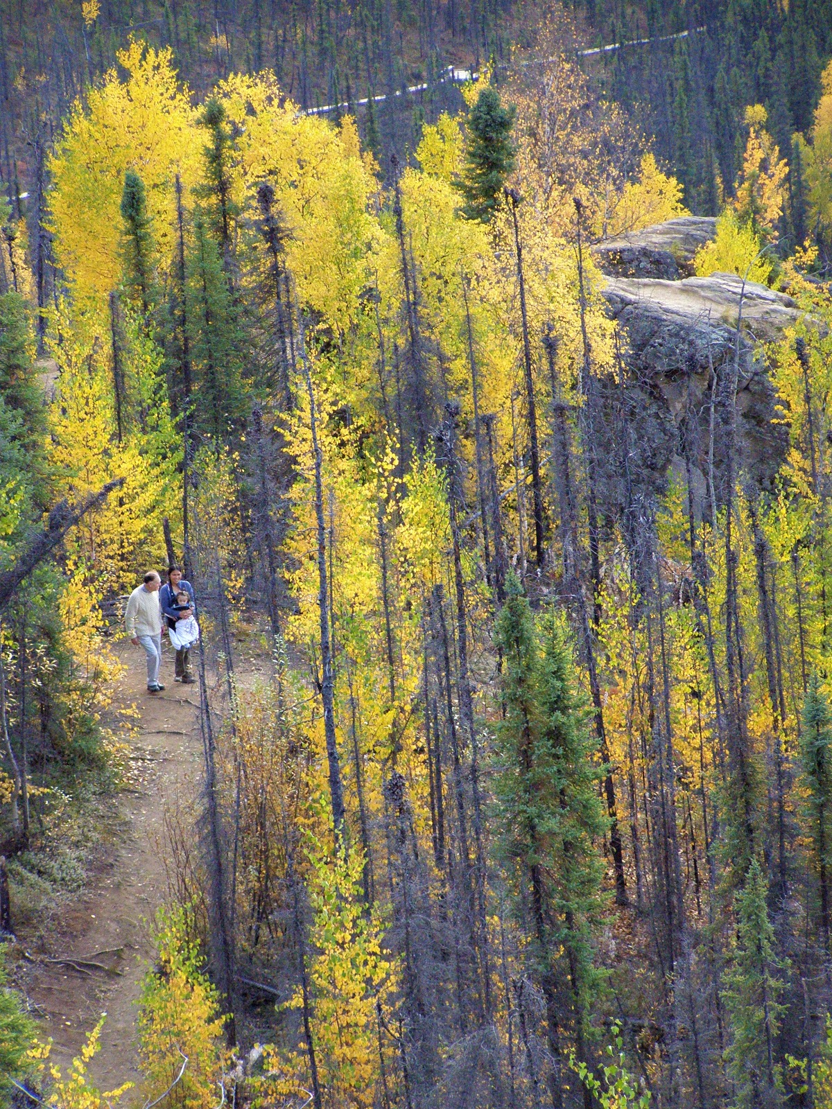 Hike up the Angel Rocks Trail