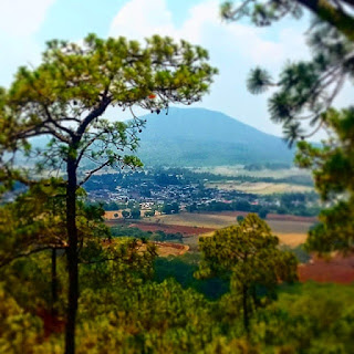 Tocumbo Michoacán: Historia