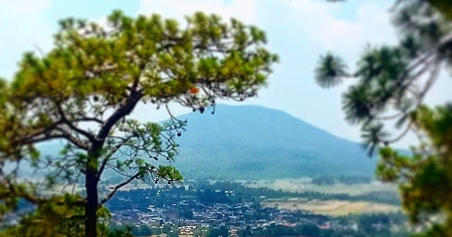 Tocumbo Michoacán: Historia