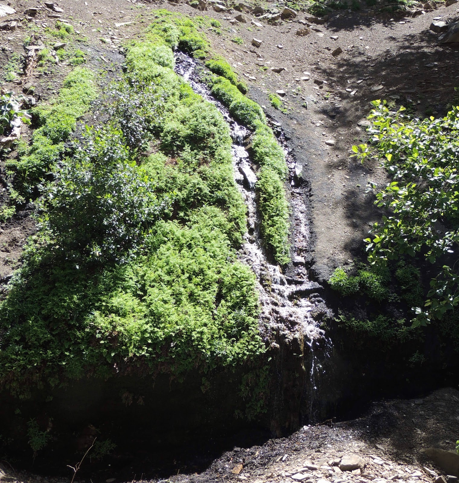 1000 Hikes in 1000 Days: Day 915: Matilija Falls - Bald Hills Trail