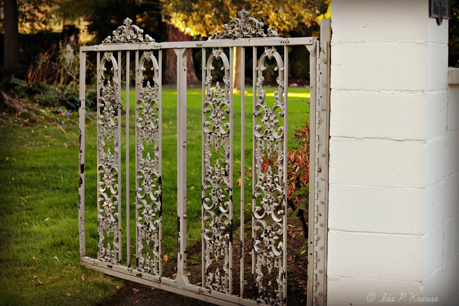 Wishes, Dreams & Other Things: Good Fences #102 - Fancy Iron Gate