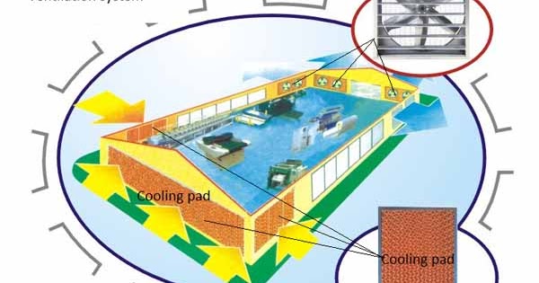 Why Smart Environment Control Systems Are Perfect For Poultry Farming