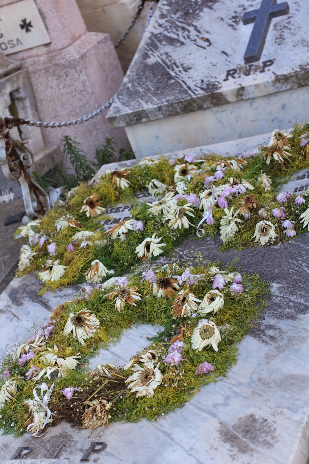Beyond the Cornfields: Addolorata Cemetery, Malta