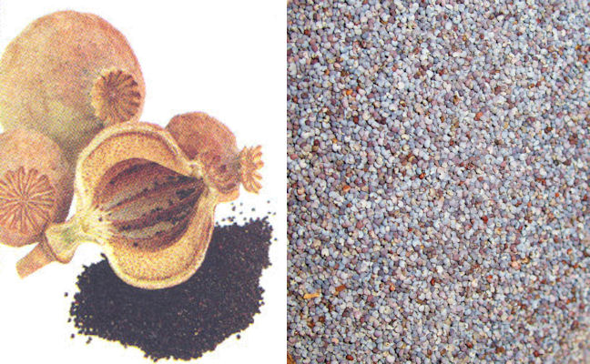 Bunatatile casei: Seminte de mac