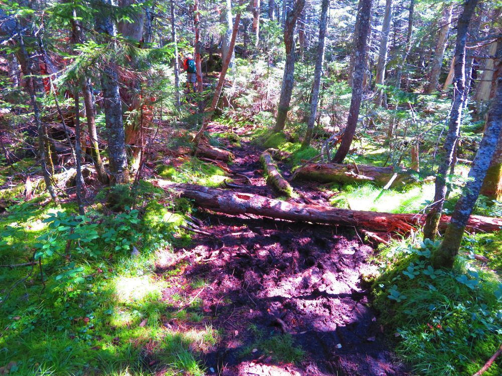 Outdoor Diversion: Shelburne Moriah Mountain to Mount Moriah