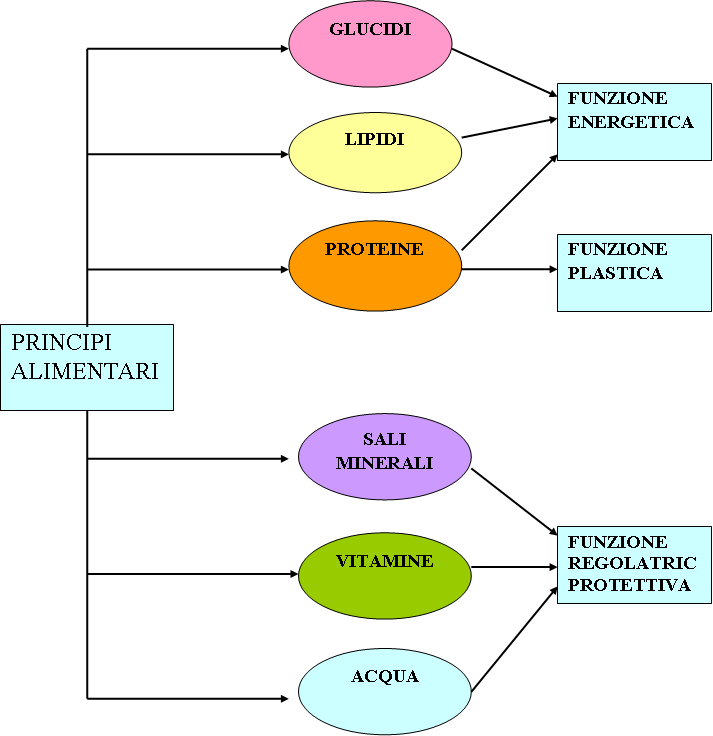 I principi nutritivi ~ Mangiare e Sapere