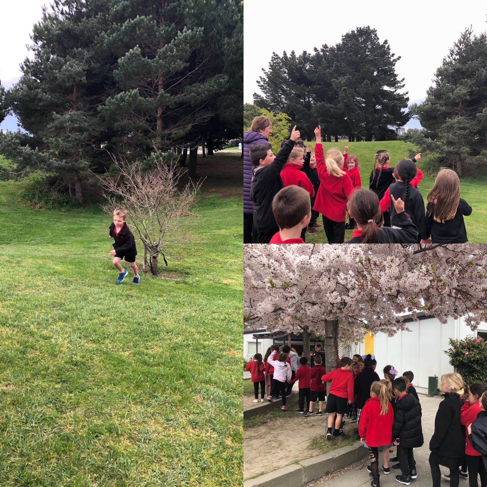 Room 1, 2, 3 Parkview Primary School: A Spring Walk