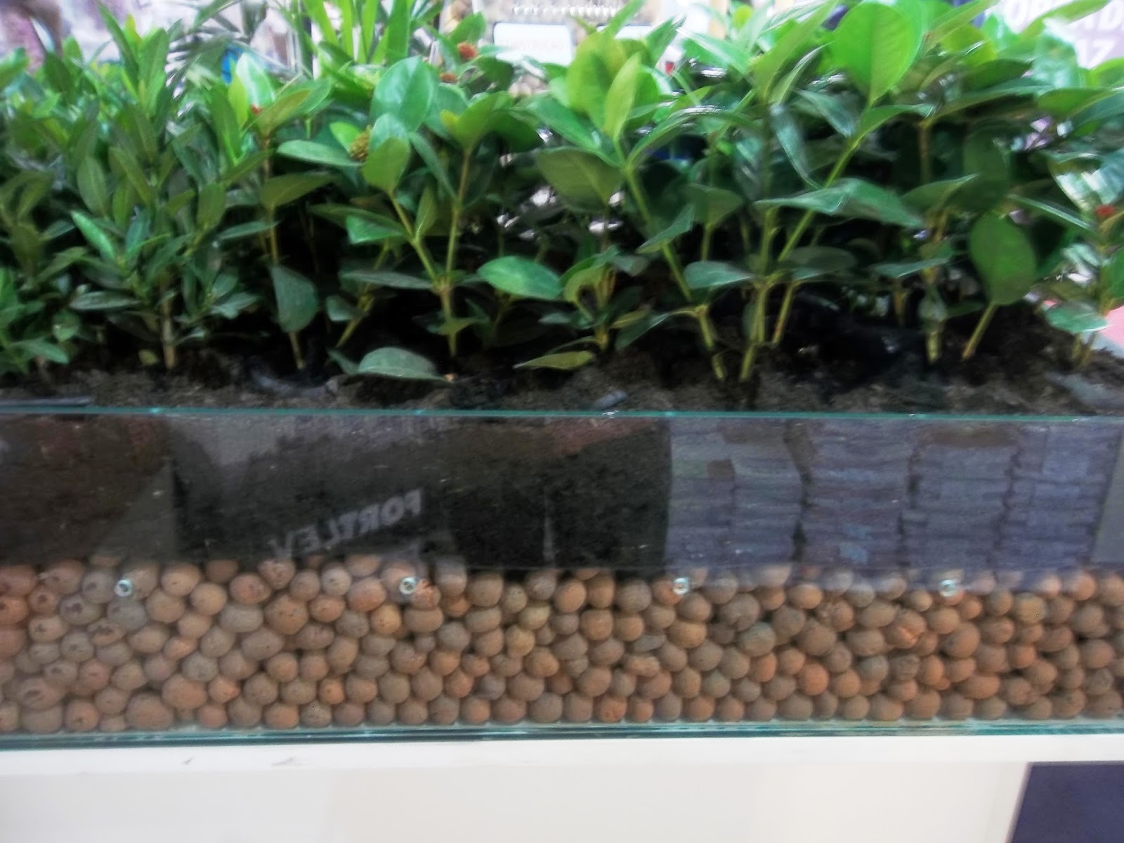 O Pórtico.com: Conheça a argila expandida