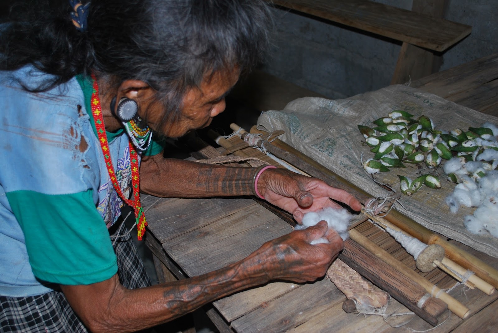 Untung hu Bugta (The Life of The Land): The Last of the Matigsalug ...