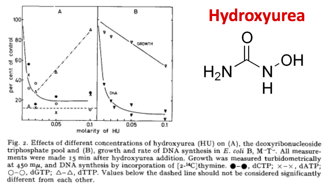 RRResearch: One more hydroxyurea experiment (well, two actually)