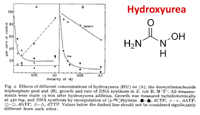 RRResearch: One more hydroxyurea experiment (well, two actually)