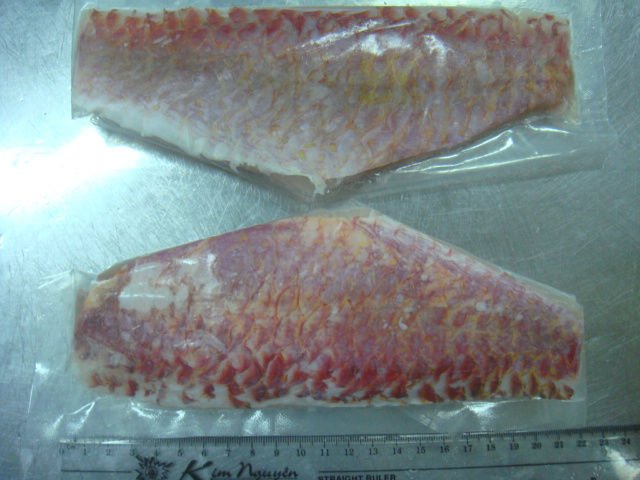 Frozen Red Snapper Fillets - Frozen Red Snapper, Red Snapper Fillets ...