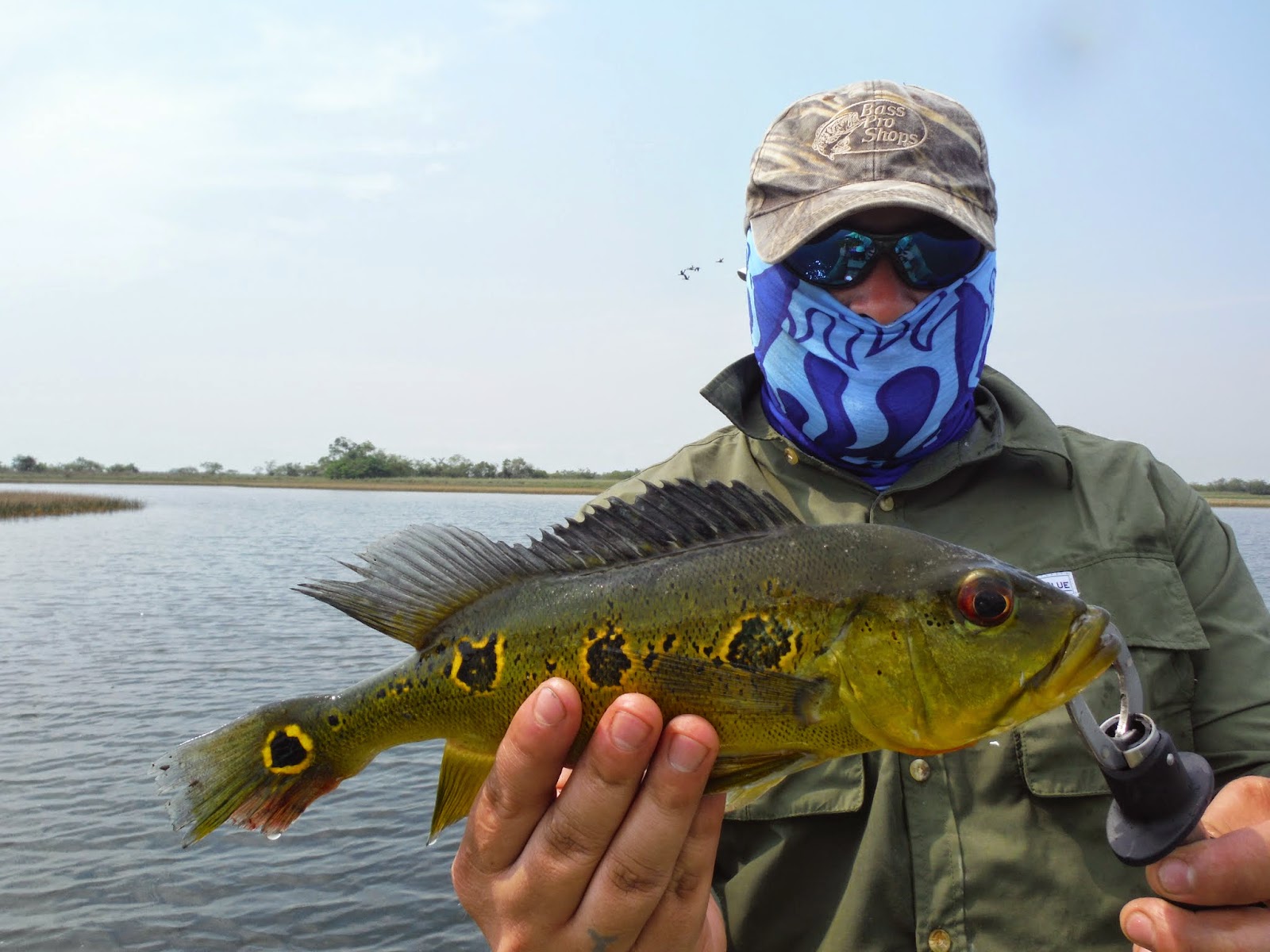 Espacio de Pesca: Pesca de Pavon o Tucunare en Laguna Rio Meta, Puerto ...