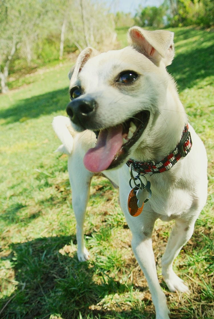 Smile! Spring is Here! :) — HAPPYHAZEL