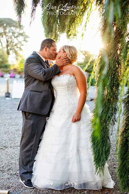 Lisa Ambrose Photography