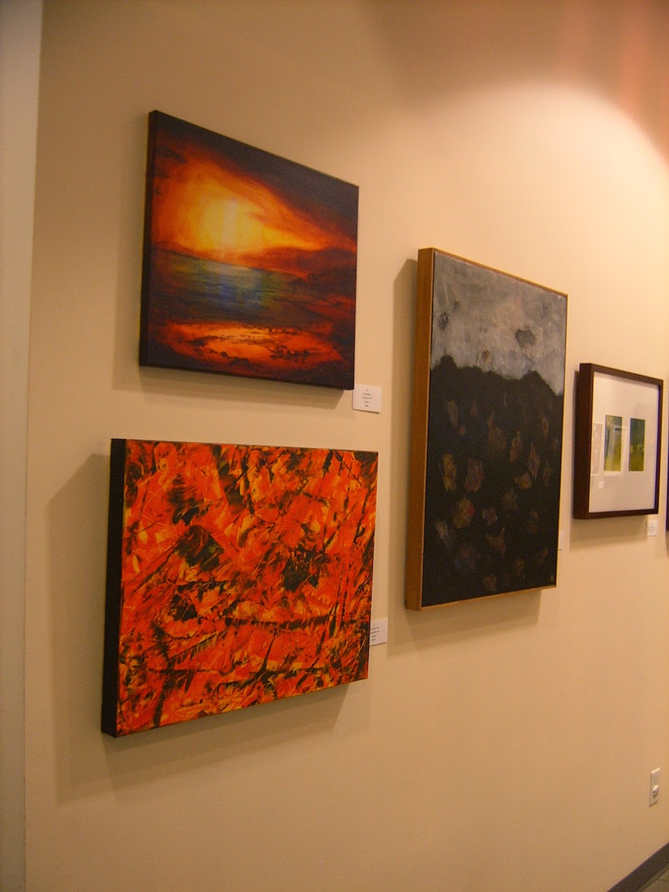 Elizabeth B. Anderson Visual Artist