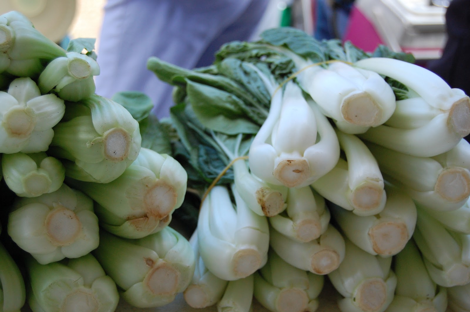 the saipantry: To market, to market....