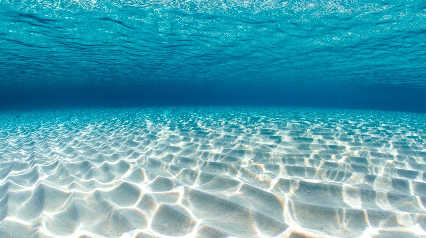 el rumor De los Bosques...: 08/12/20