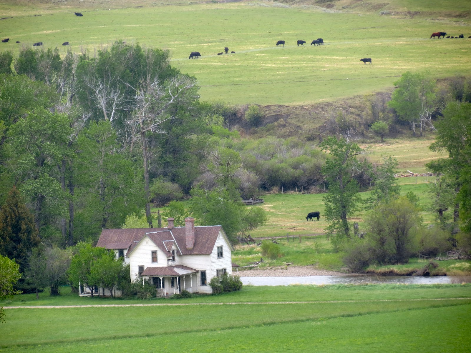 Where's Liz-2012?: Big Timber, Montana