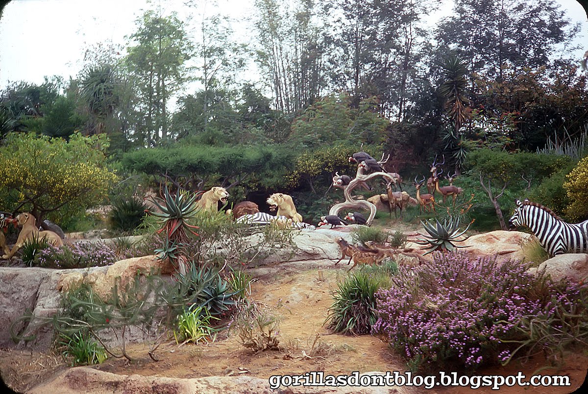 GORILLAS DON'T BLOG: The African Veldt, April 1969