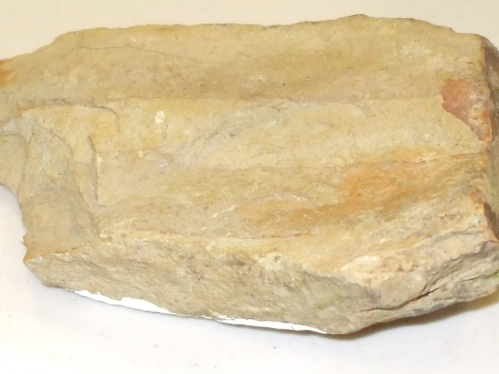 Eggs Come From The Store?: Exotic Carolina Terrane