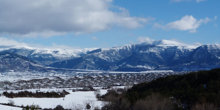 El nido de Navasa: Las estaciones del año