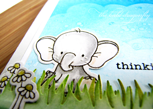 The Bald Dragonfly: Freckled Elephant
